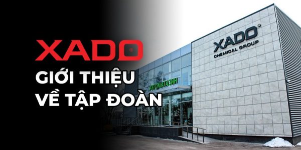 Xado Việt Nam